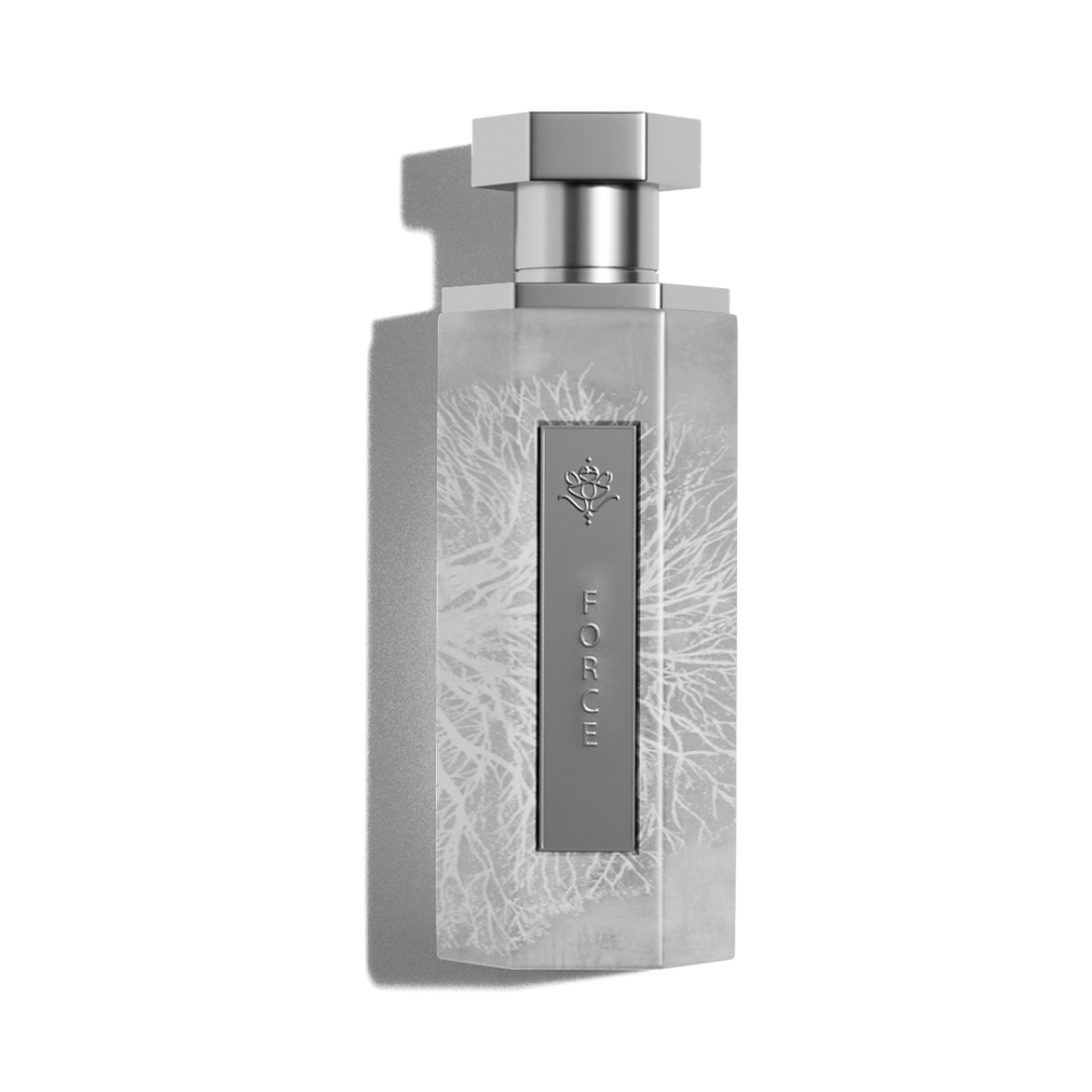 FORCE EDP 200ML – Reef Perfume
